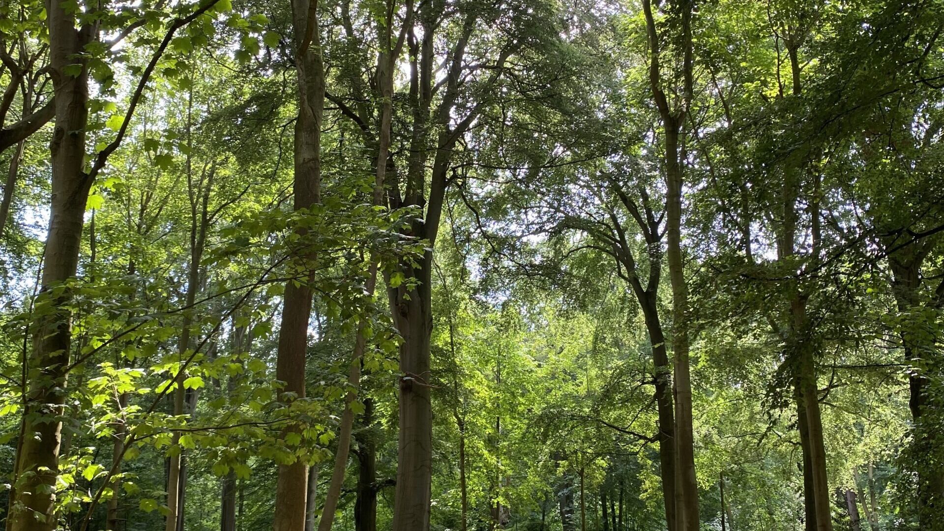 Contact Us - Rougham Estate Trust